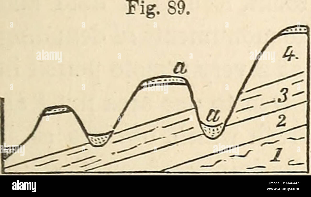 . Elements of geology, or, The ancient changes of the earth and its ...