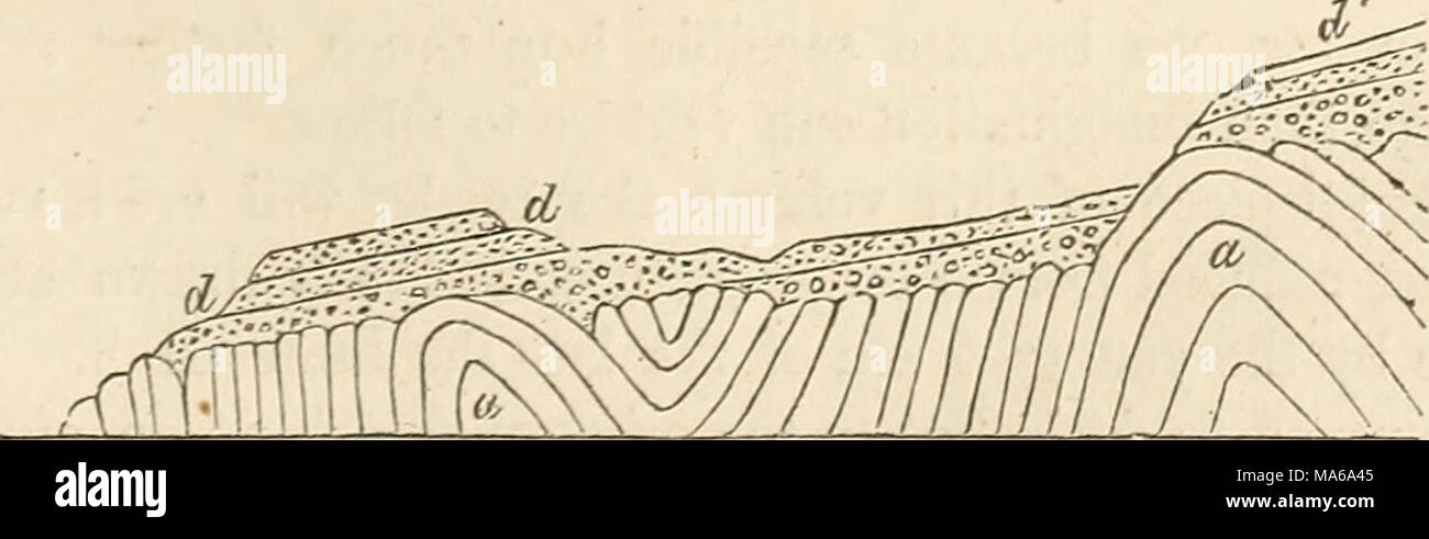 . Elements of geology, or, The ancient changes of the earth and its ...