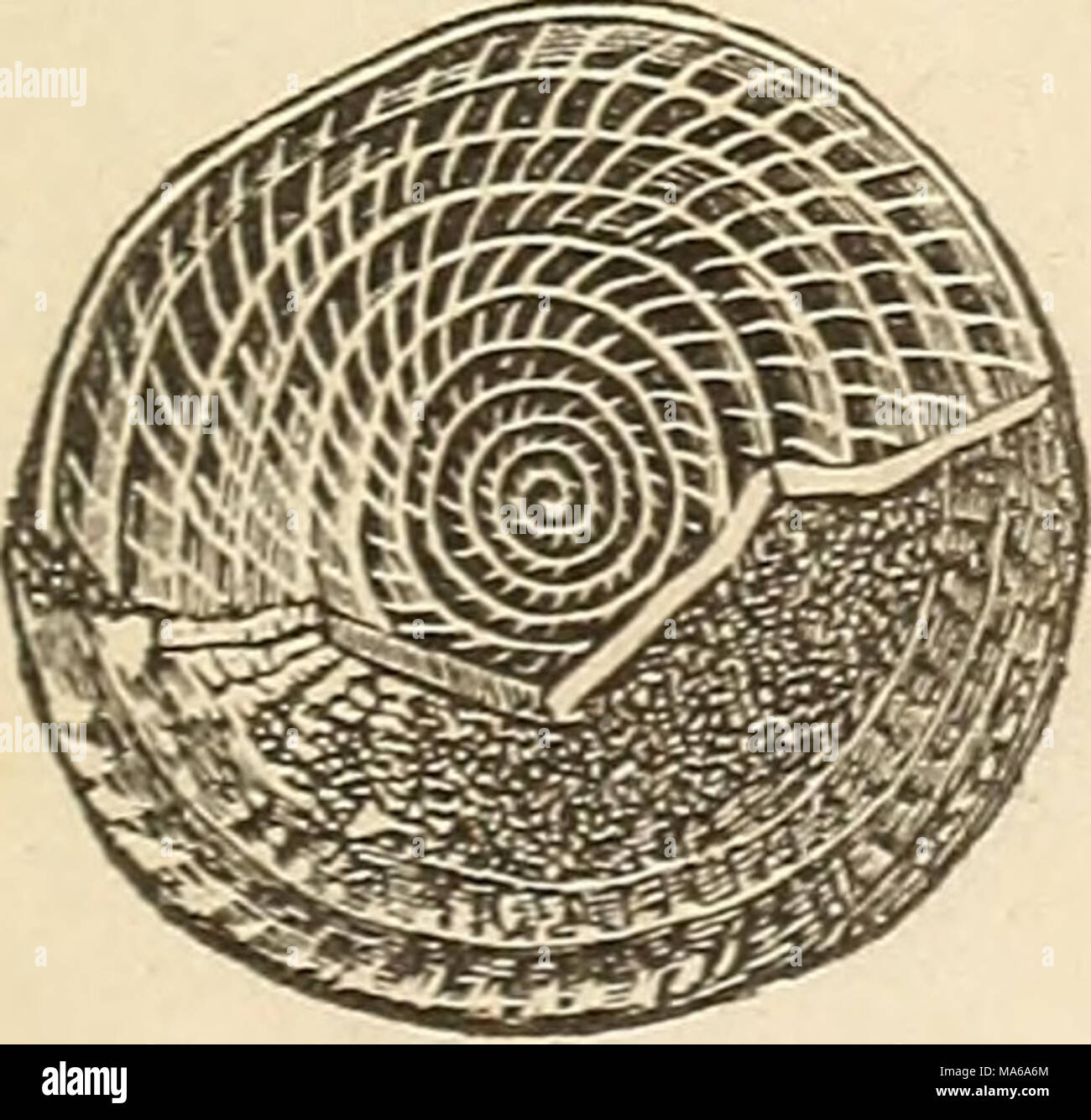 . Elements of geology, or, The ancient changes of the earth and its ...