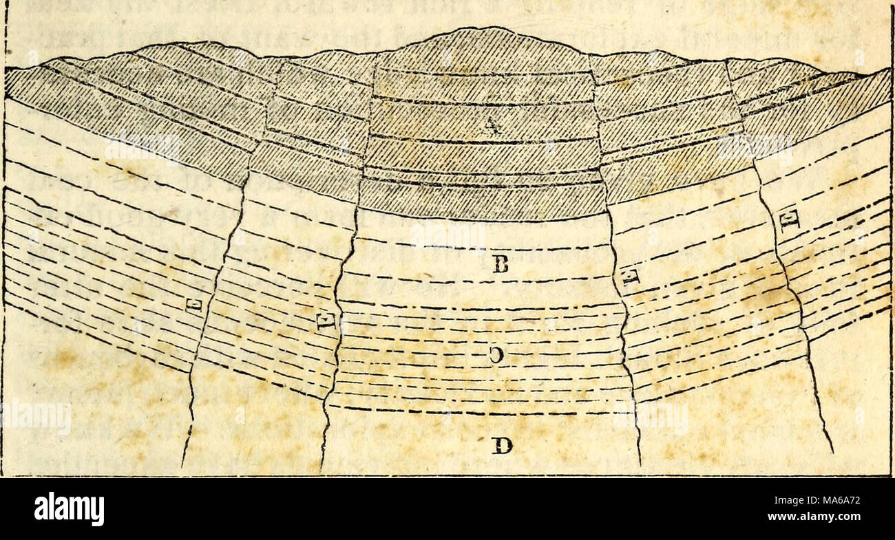 . The elements of geology, for popular use : containing a description ...