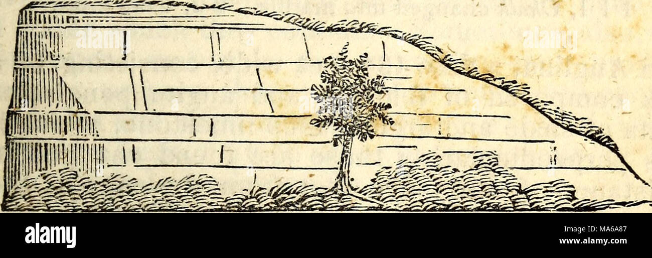 . The elements of geology, for popular use : containing a description ...