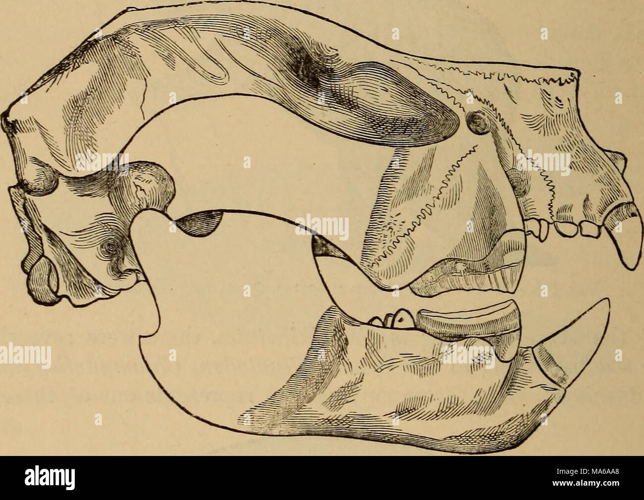 . Elements of geology : a text-book for colleges and for the general ...