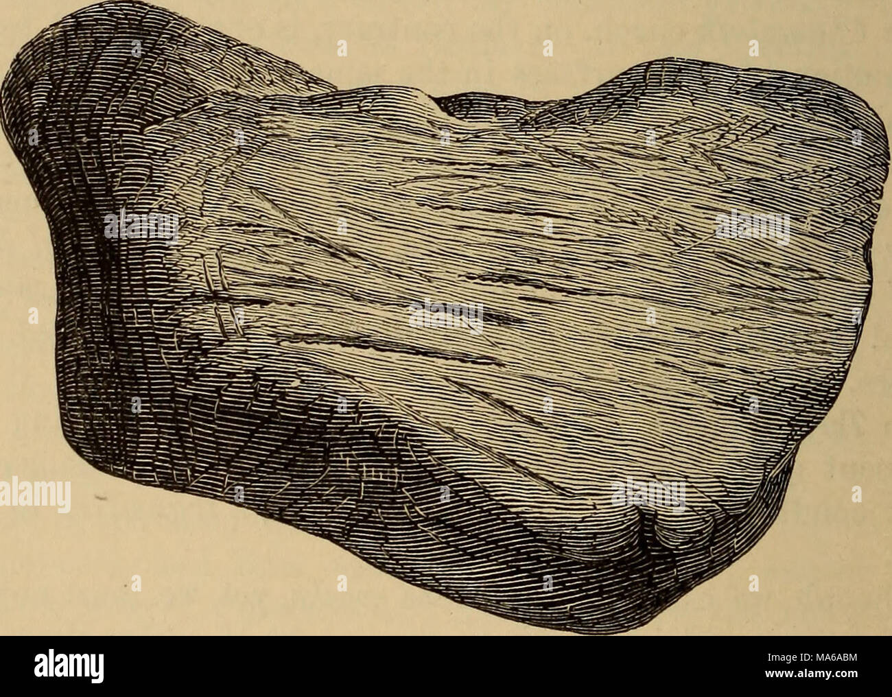 . Elements of geology : a text-book for colleges and for the general ...