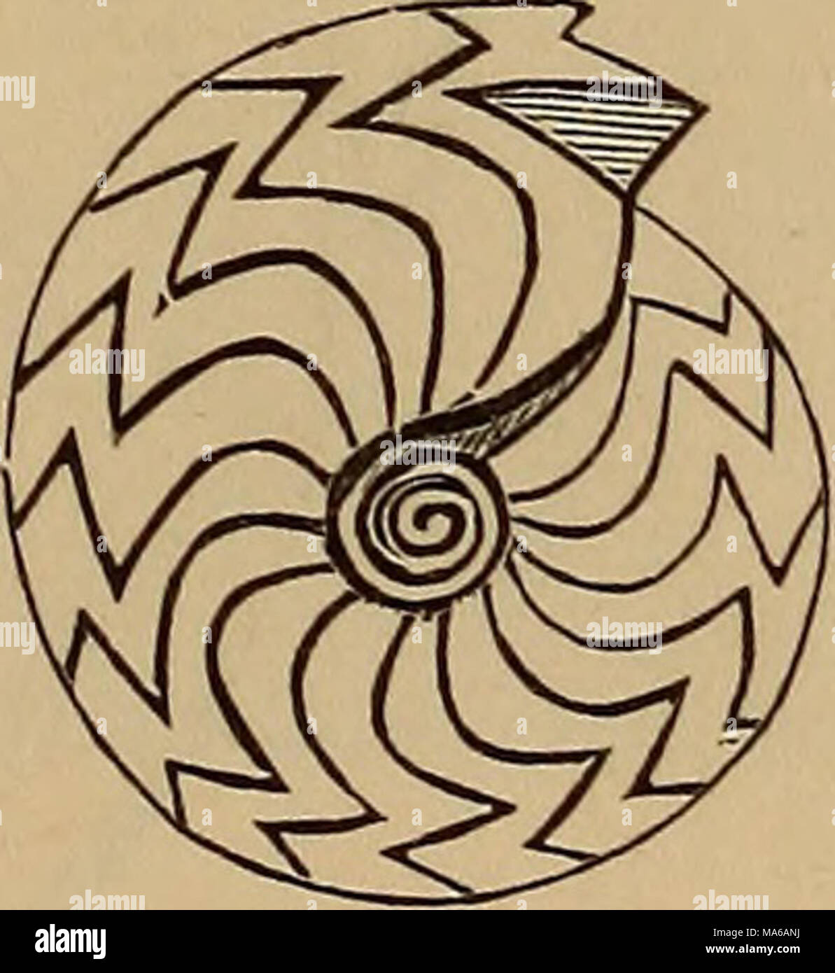 . Elements of geology : a text-book for colleges and for the general ...