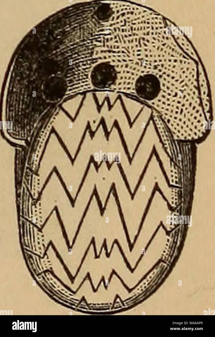 . Elements of geology : a text-book for colleges and for the general ...