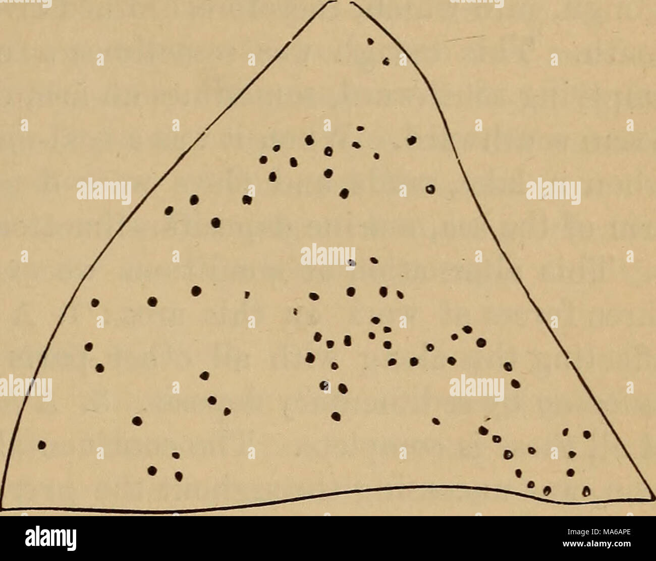 . Elements of geology : a text-book for colleges and for the general ...