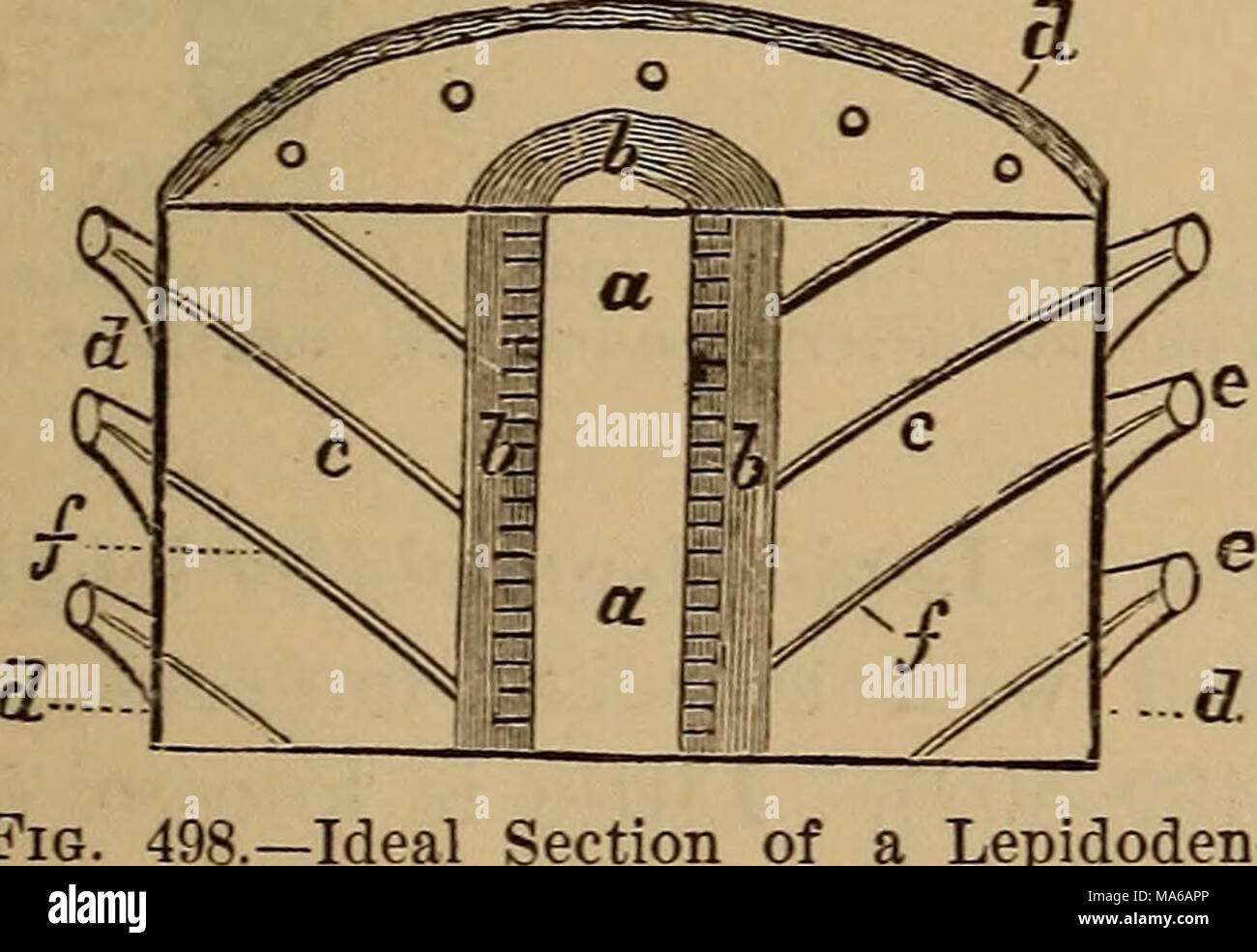 . Elements of geology : a text-book for colleges and for the general ...