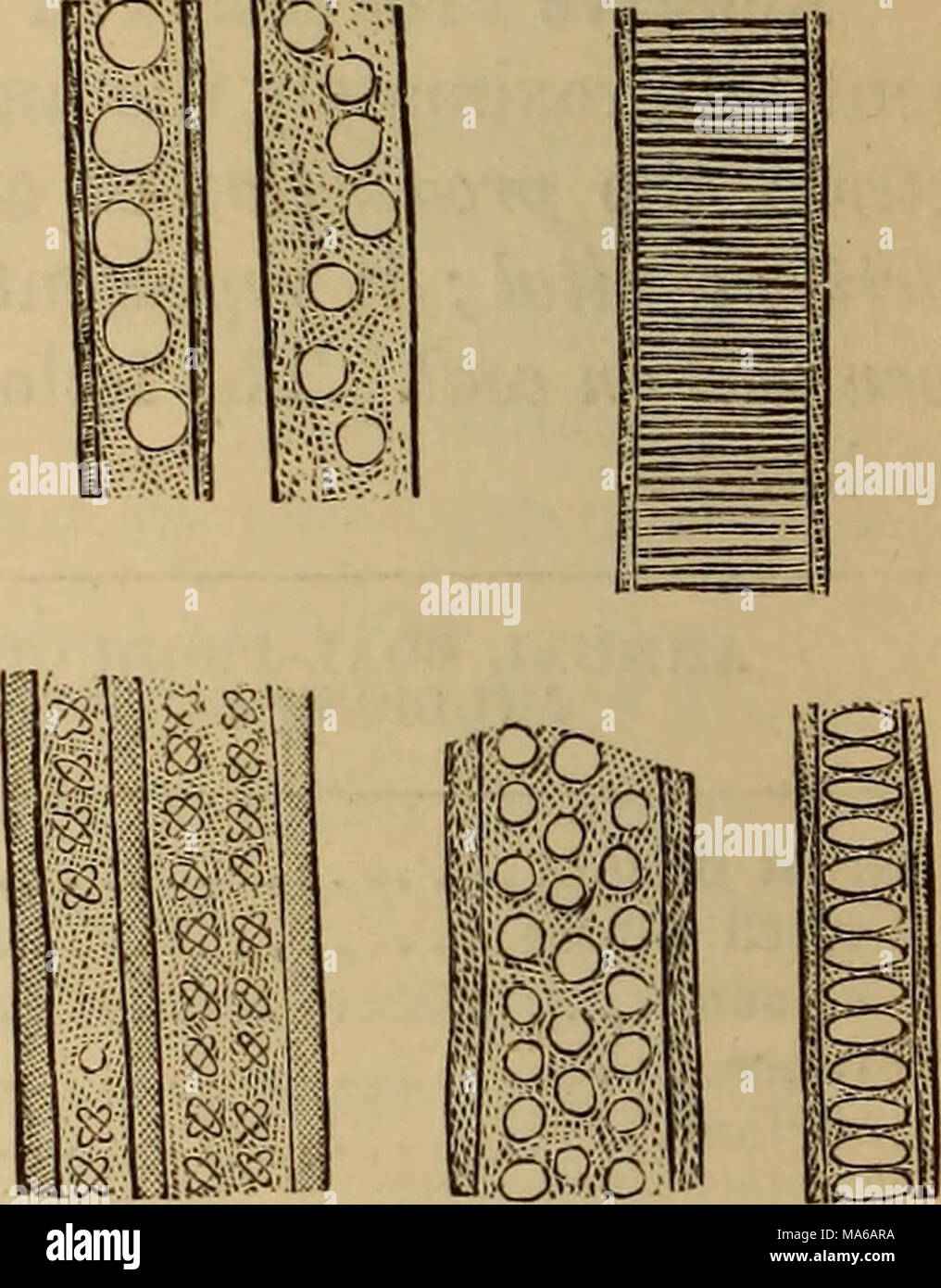 . Elements of geology : a text-book for colleges and for the general ...