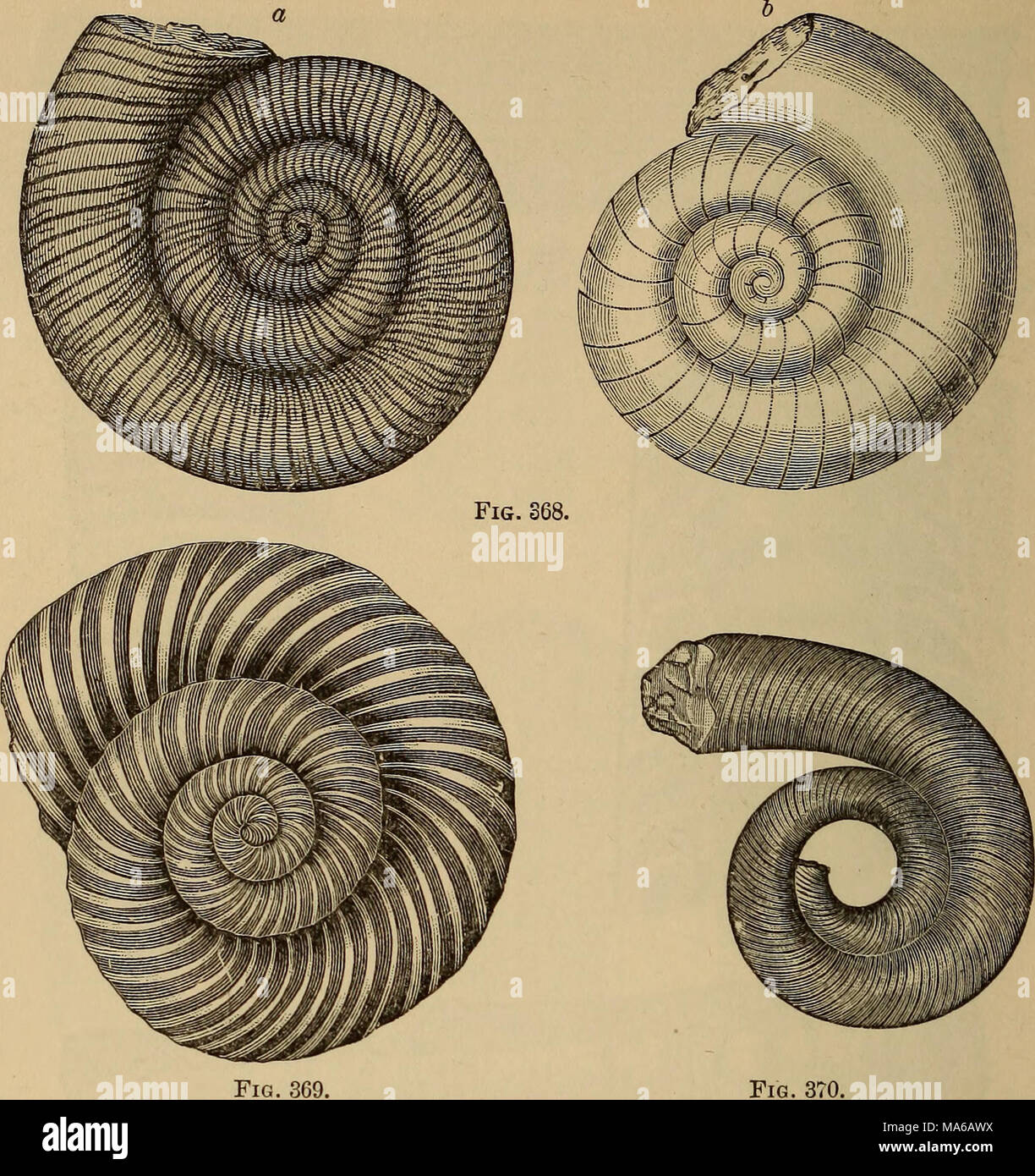 . Elements of geology : a text-book for colleges and for the general ...