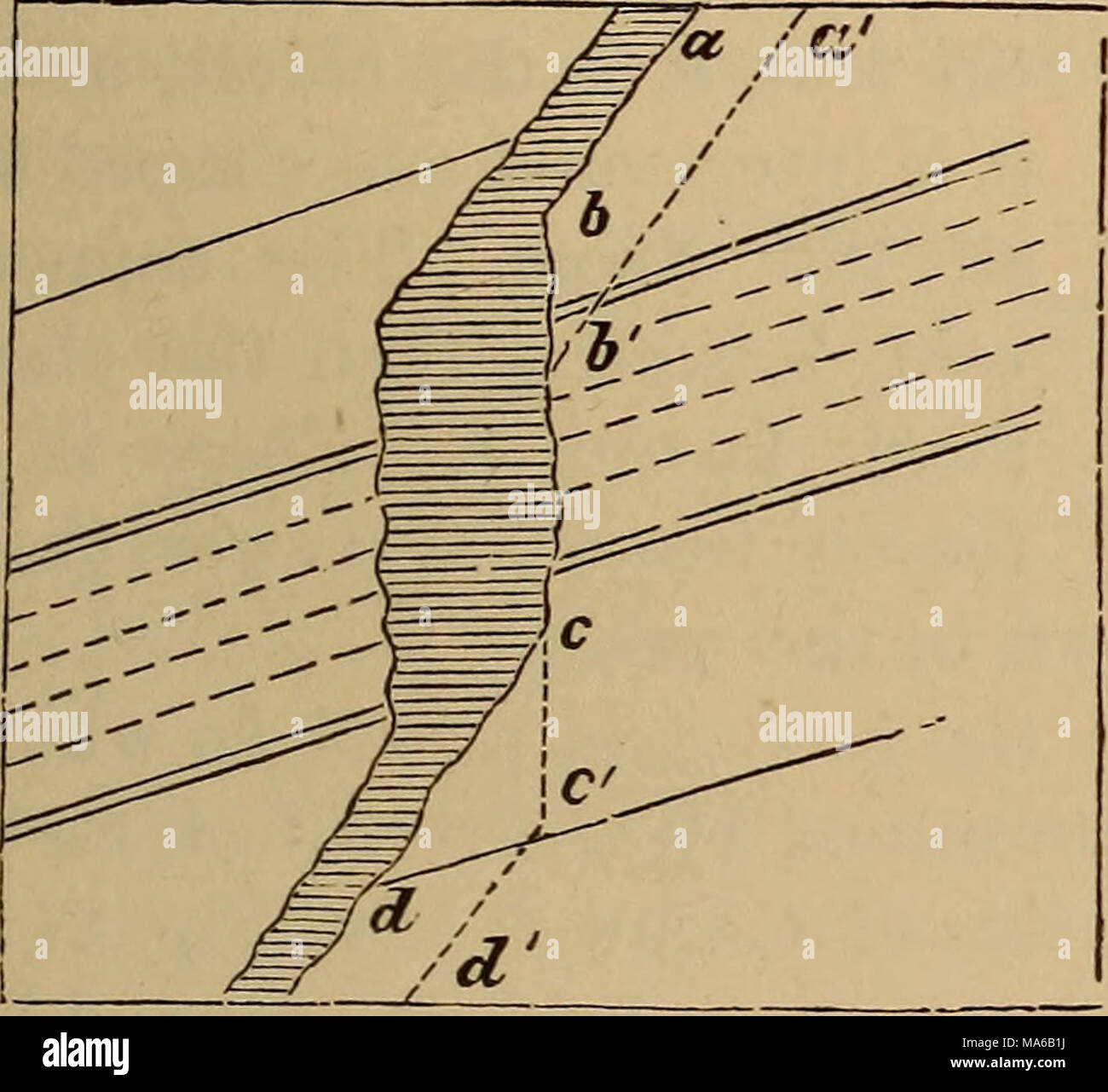 . Elements of geology : a text-book for colleges and for the general ...