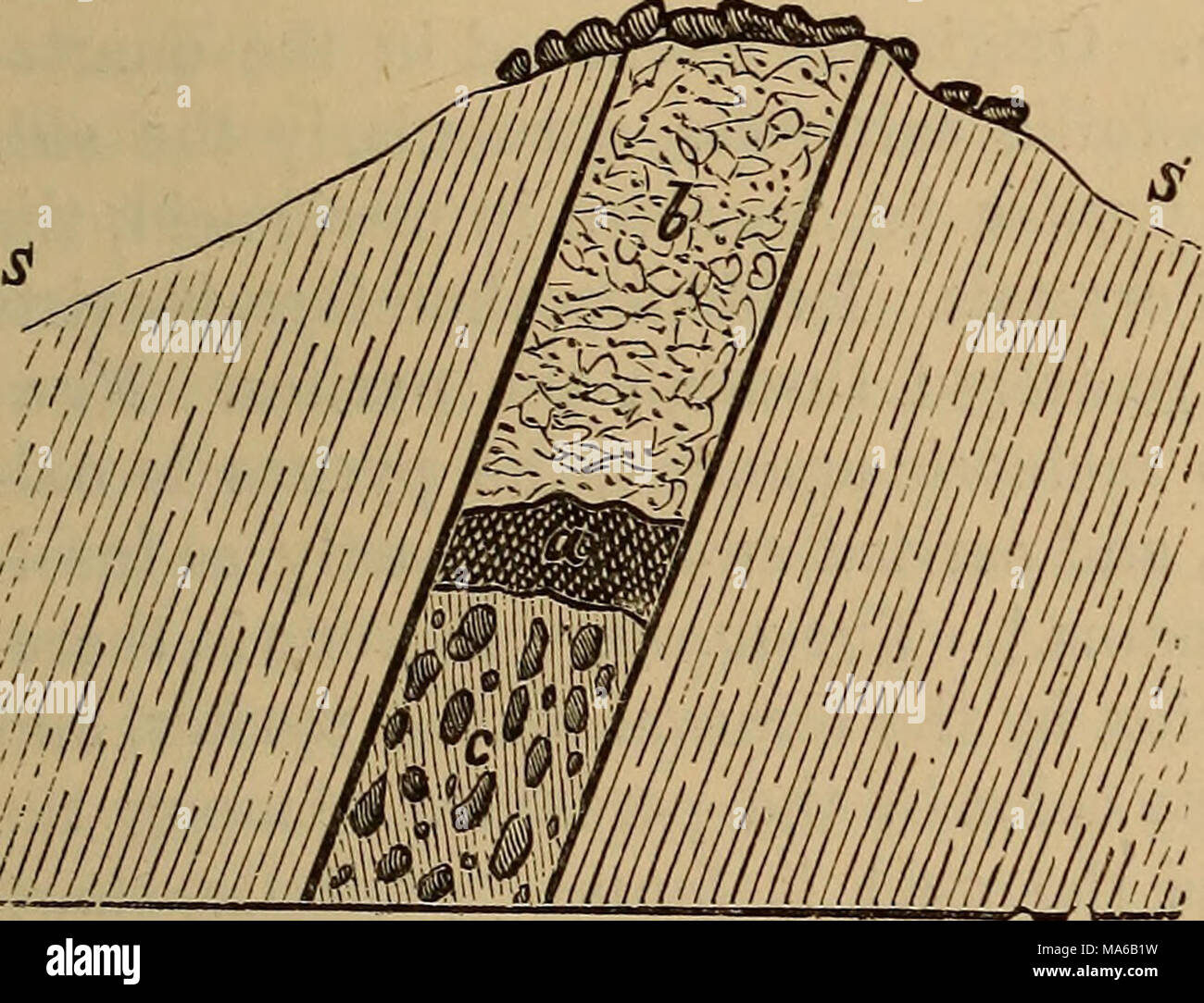 . Elements of geology : a text-book for colleges and for the general ...