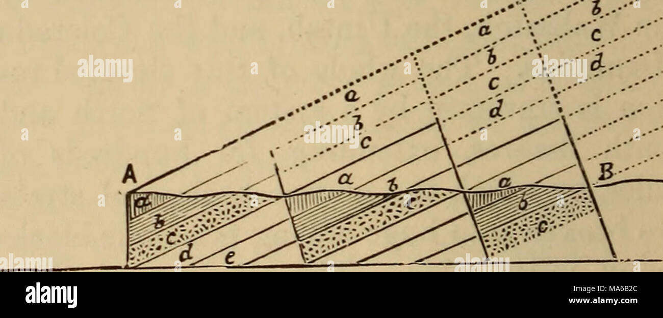 . Elements of geology : a text-book for colleges and for the general ...