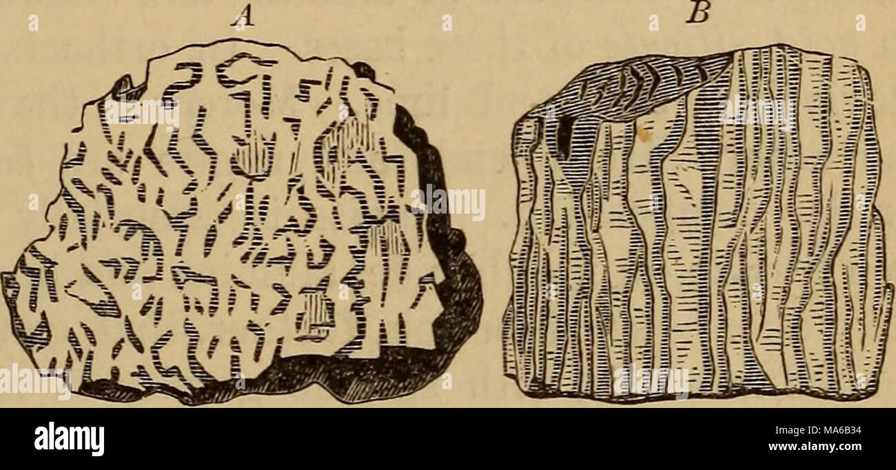 . Elements of geology : a text-book for colleges and for the general ...