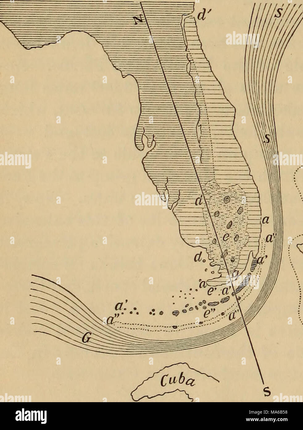 . Elements of geology : a text-book for colleges and for the general ...