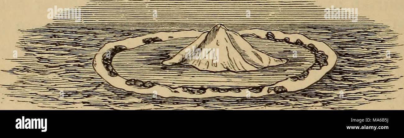 . Elements of geology : a text-book for colleges and for the general ...