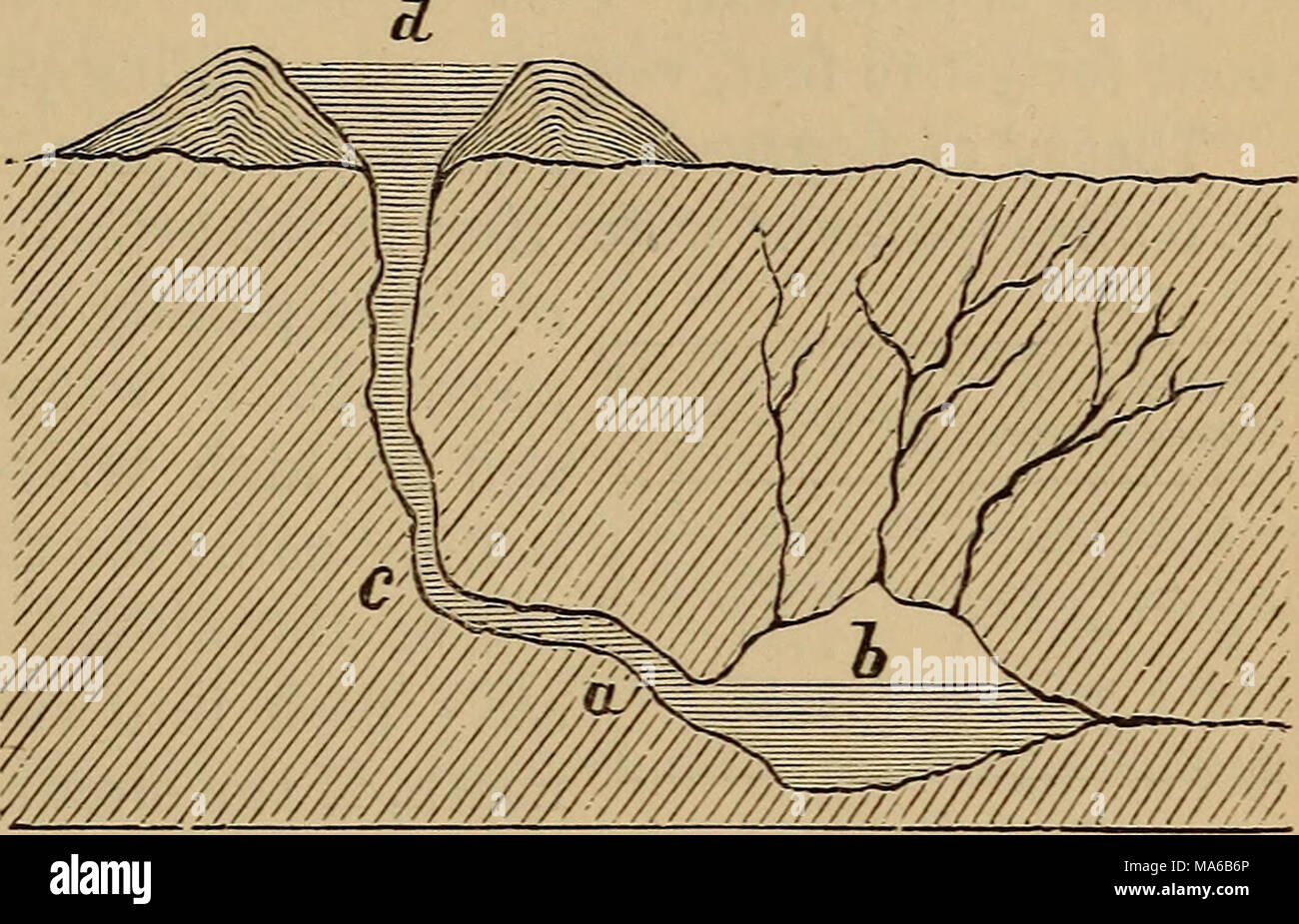 . Elements of geology : a text-book for colleges and for the general ...