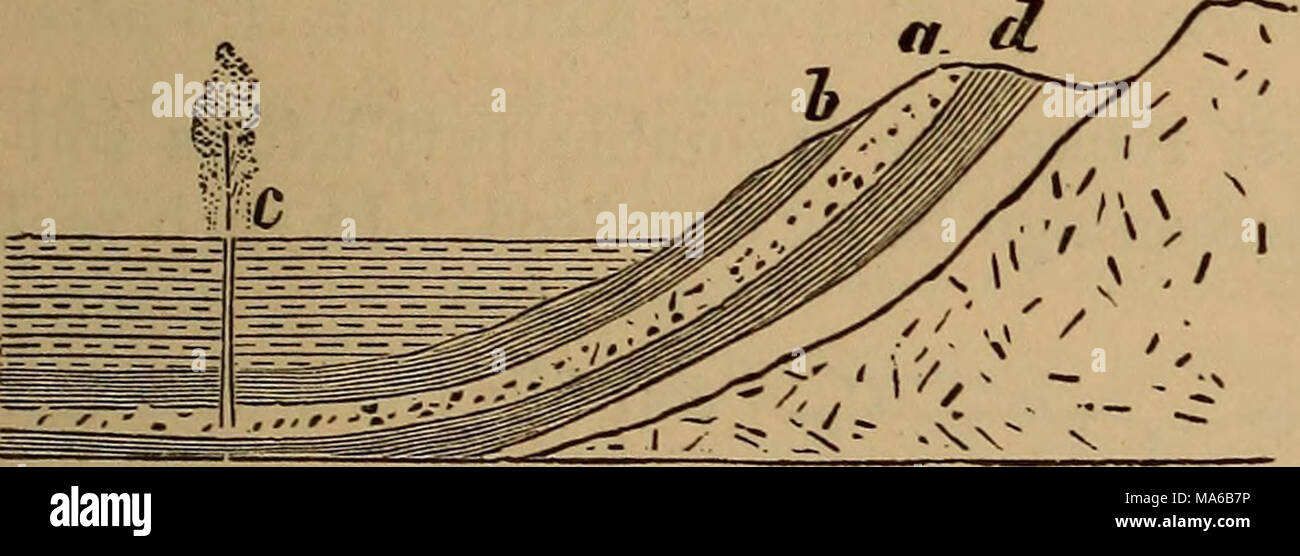 . Elements of geology : a text-book for colleges and for the general ...