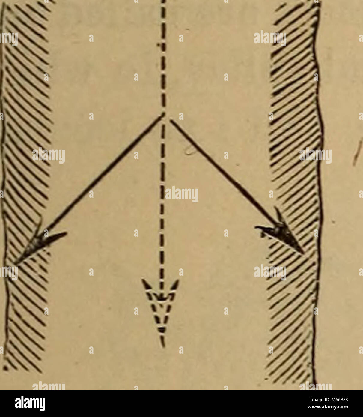 . Elements of geology : a text-book for colleges and for the general ...
