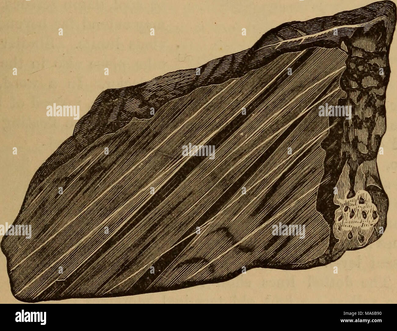 . Elements of geology : a text-book for colleges and for the general ...