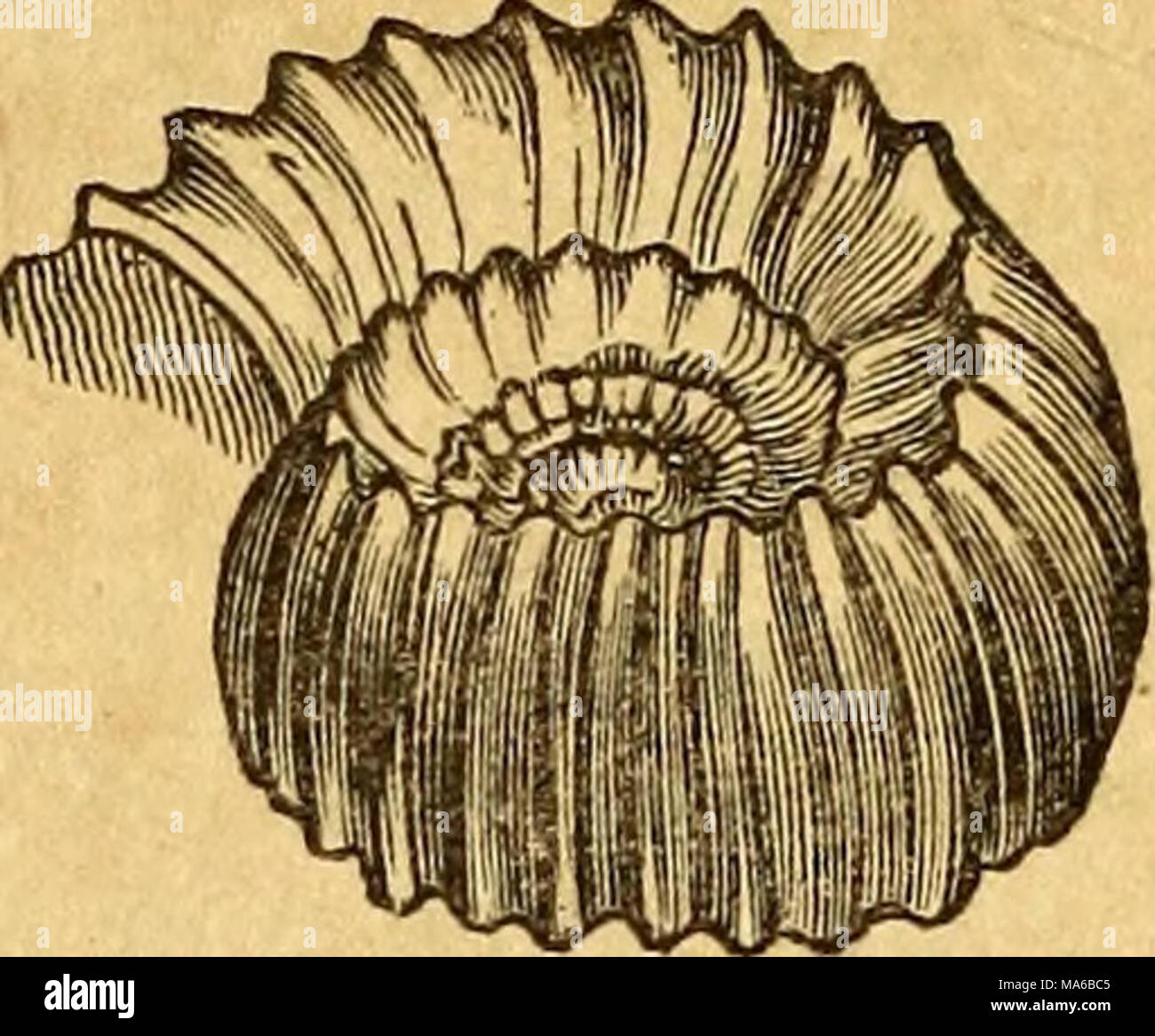 . Elements of geology Stock Photo - Alamy