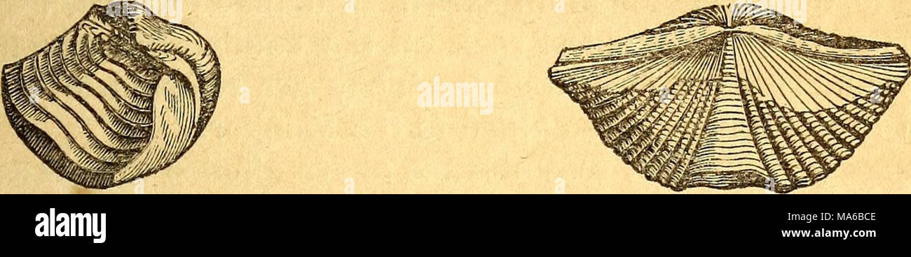 . Elements of geology Stock Photo - Alamy
