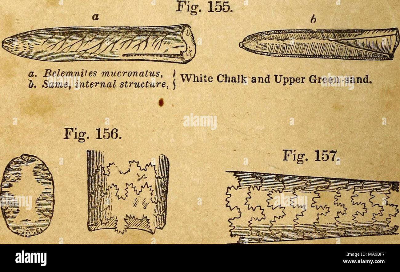 . Elements of geology Stock Photo - Alamy