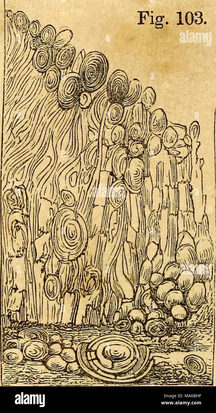 . Elements of geology Stock Photo - Alamy