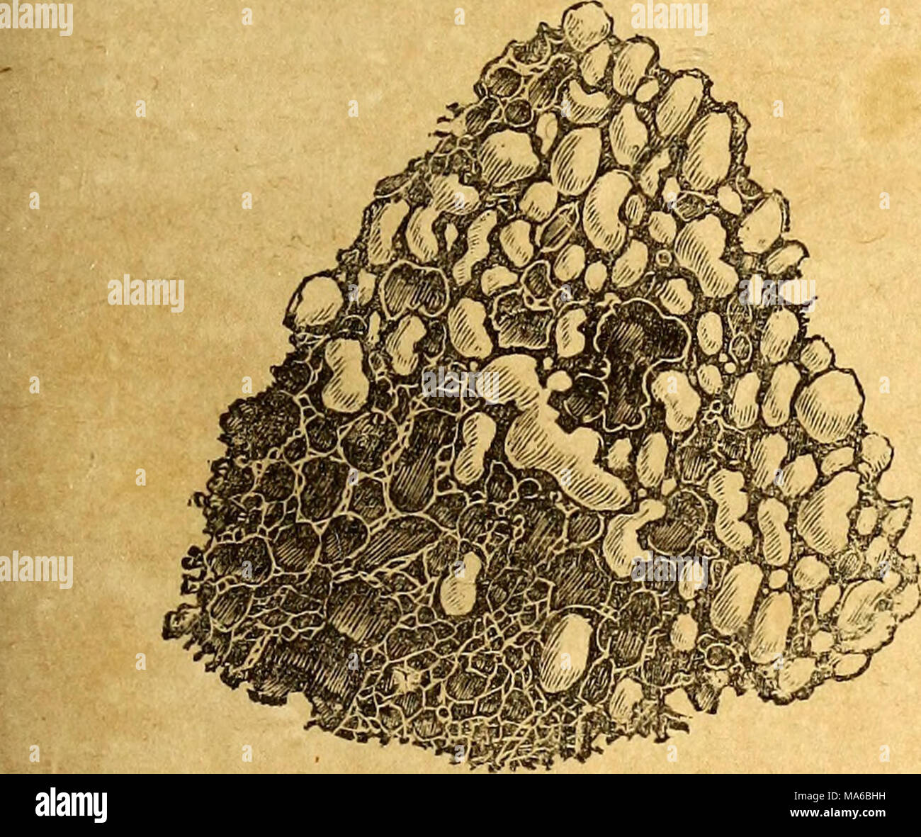 . Elements of geology Stock Photo - Alamy