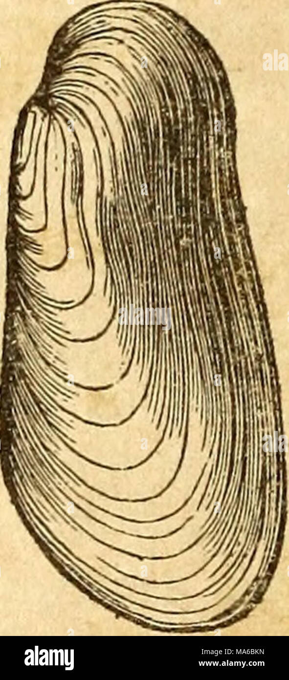 . Elements of geology Stock Photo - Alamy