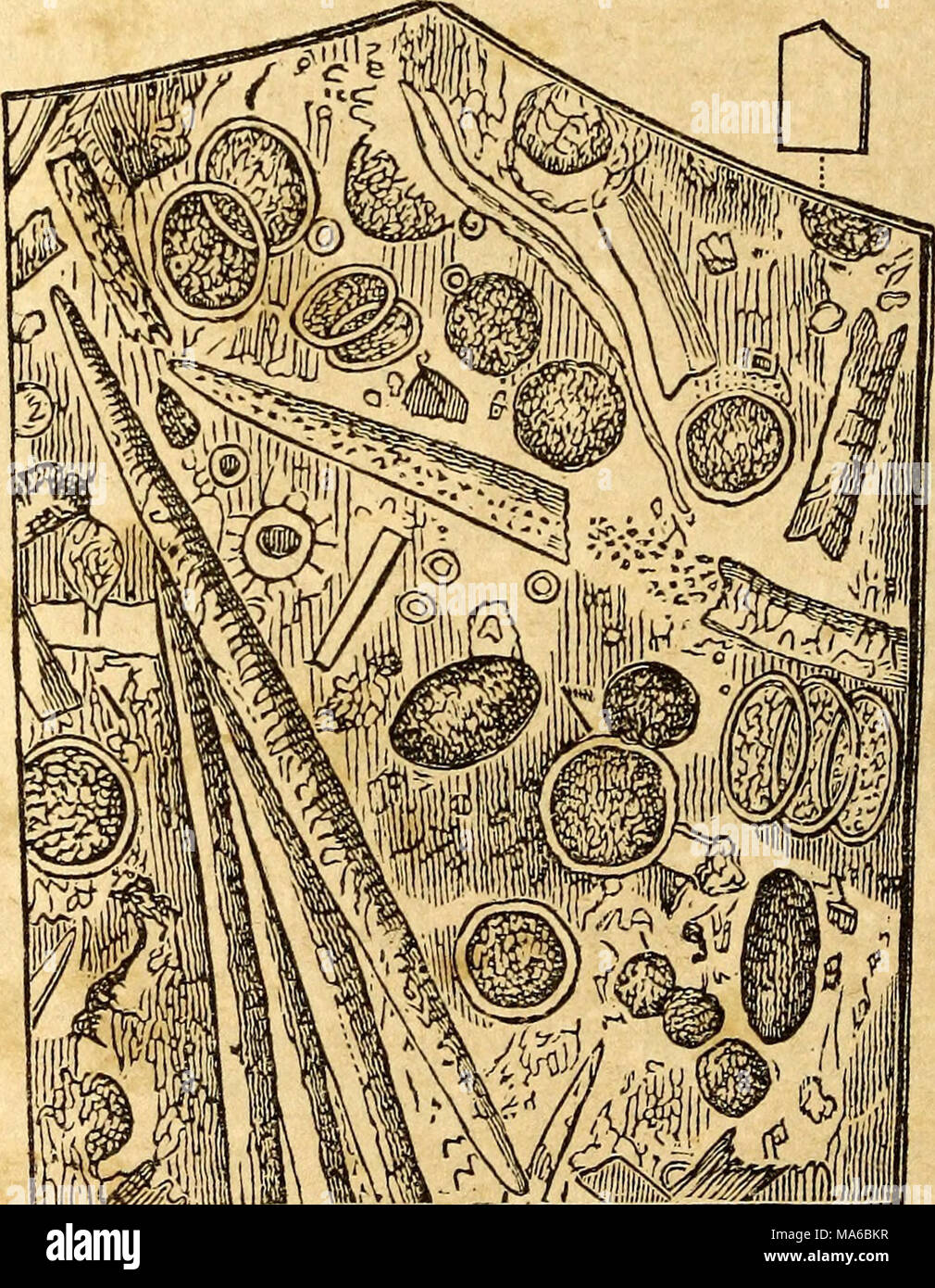 . Elements of geology Stock Photo - Alamy