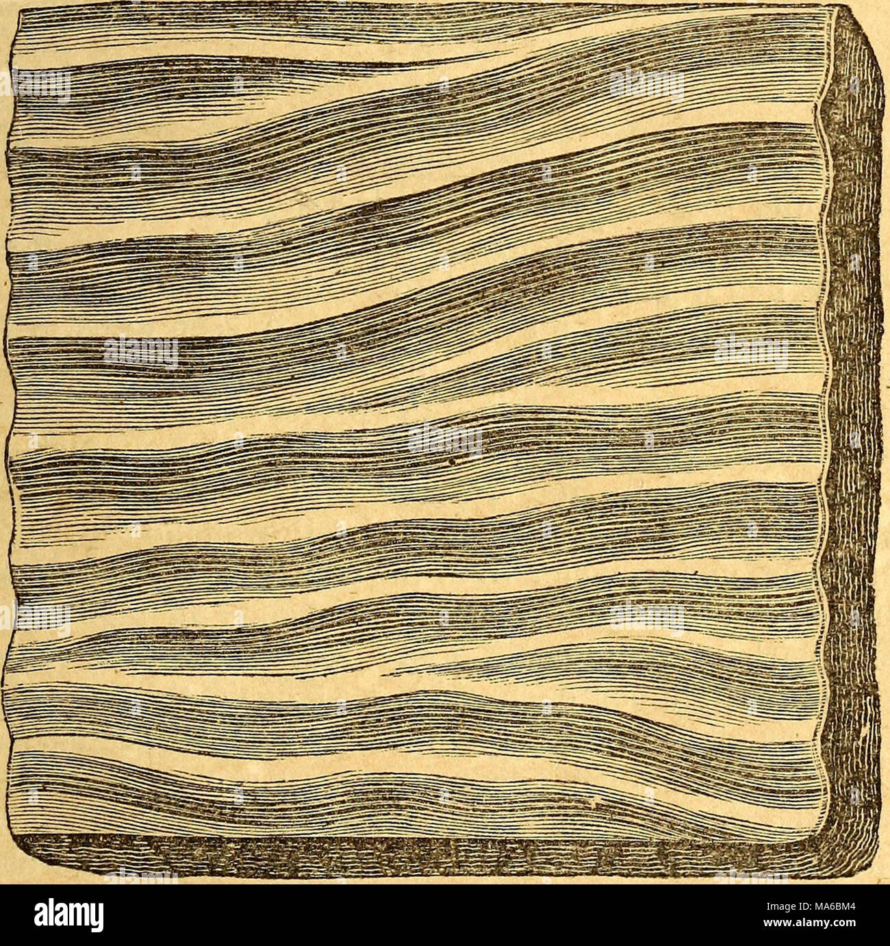 . Elements of geology Stock Photo - Alamy