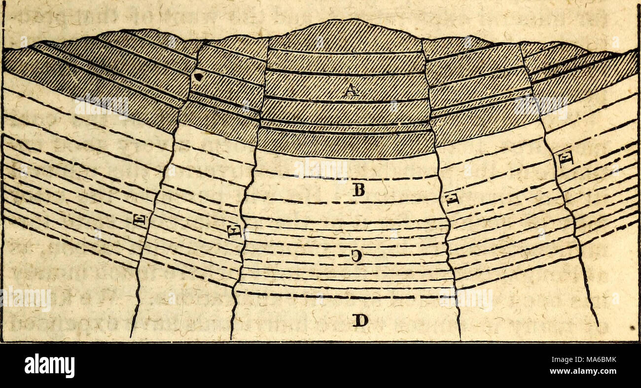 . The elements of geology, for popular use : containing a description ...