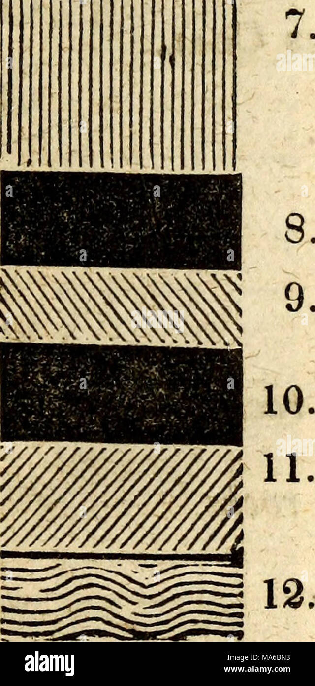 . The elements of geology, for popular use : containing a description ...