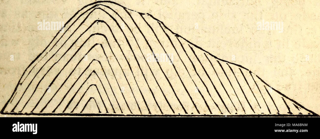 . The elements of geology, for popular use : containing a description ...