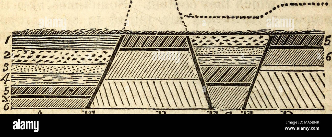 . The elements of geology, for popular use : containing a description ...