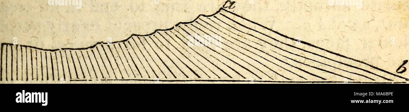 . The elements of geology, for popular use : containing a description ...