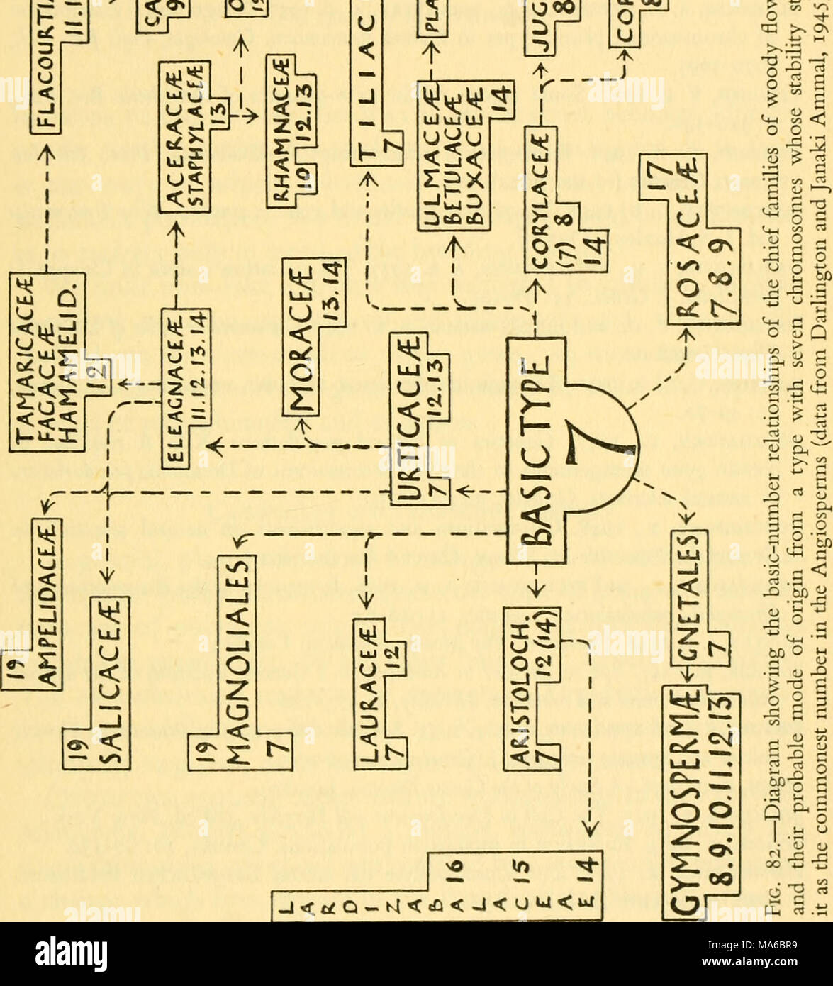 . The elements of genetics Stock Photo - Alamy