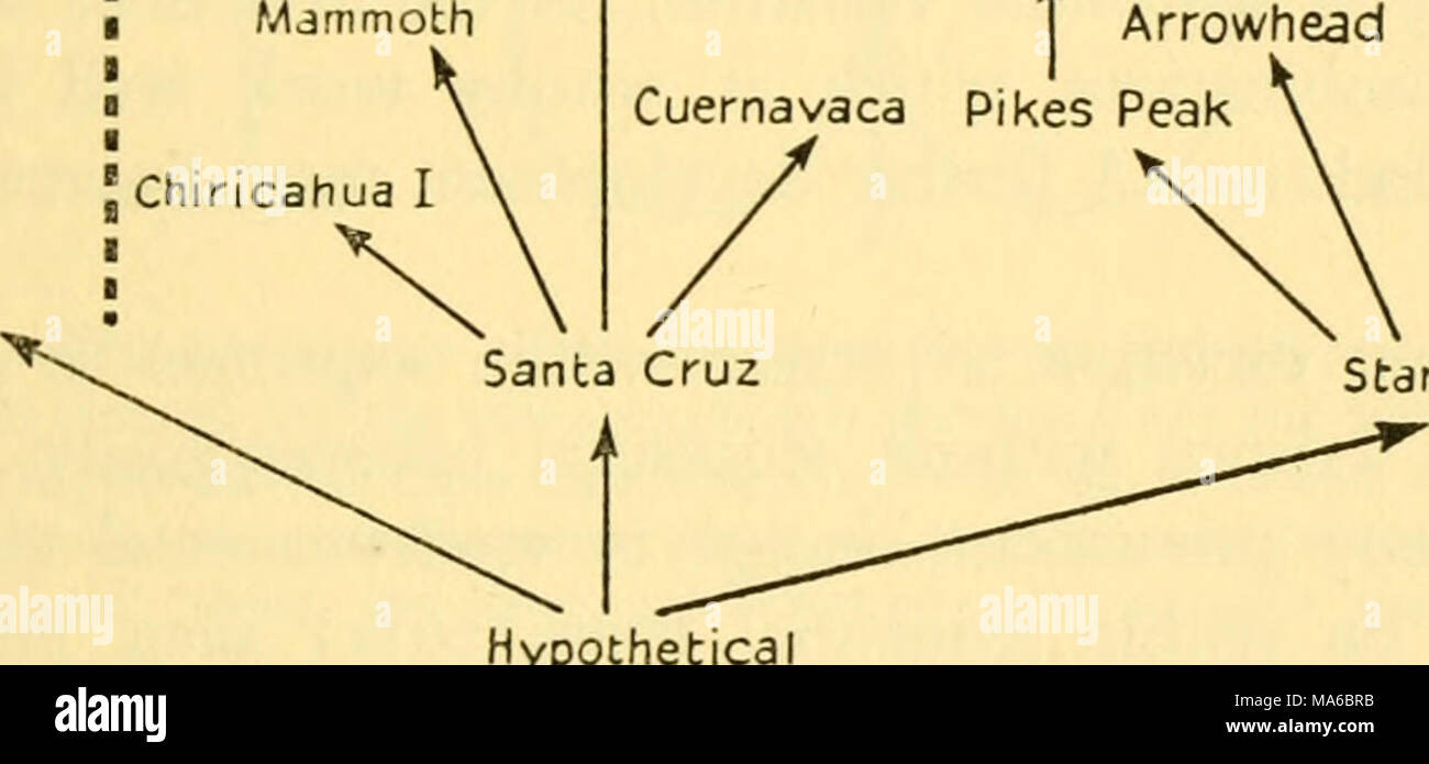 . The elements of genetics Stock Photo - Alamy