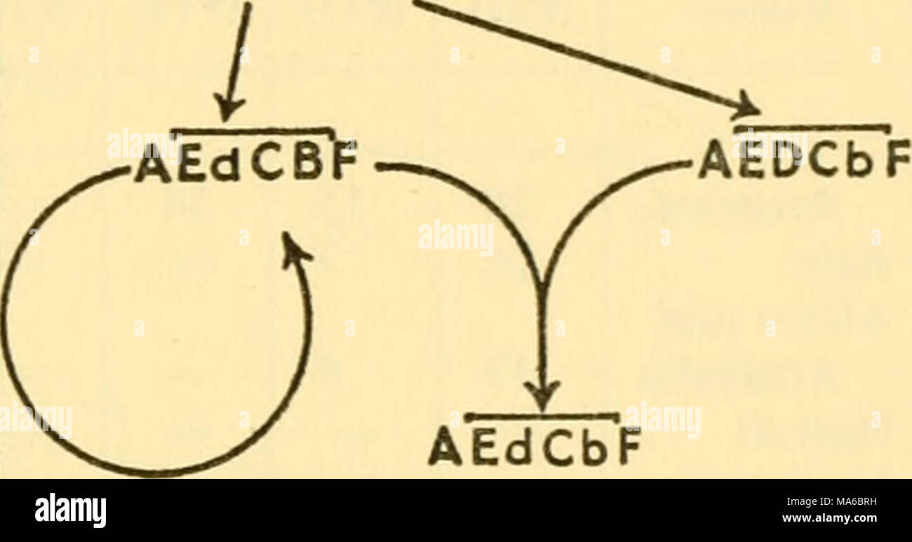 . The elements of genetics Stock Photo - Alamy