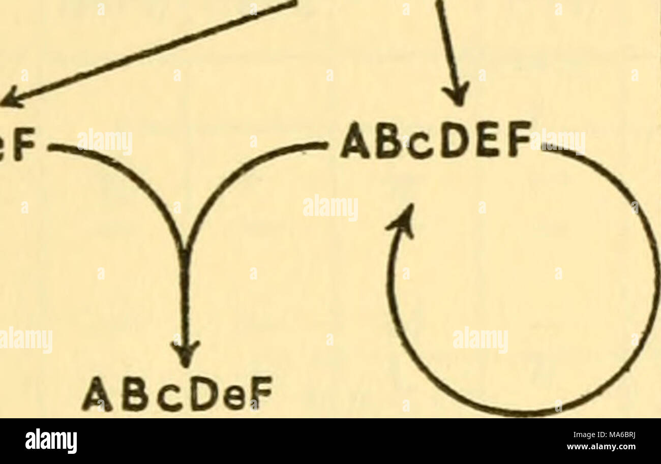 . The elements of genetics Stock Photo - Alamy