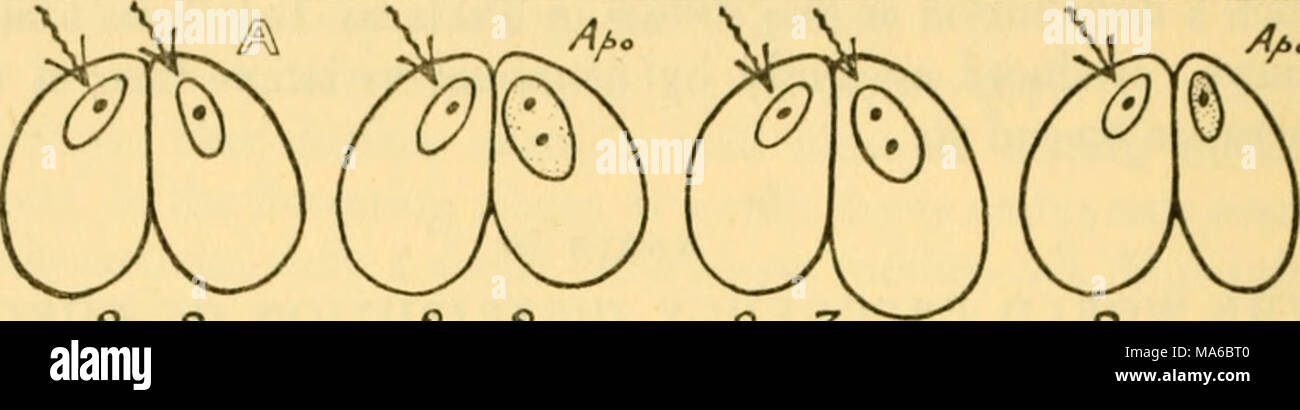 . The elements of genetics Stock Photo - Alamy