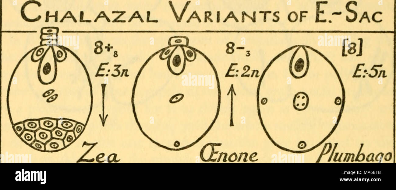 . The elements of genetics Stock Photo - Alamy