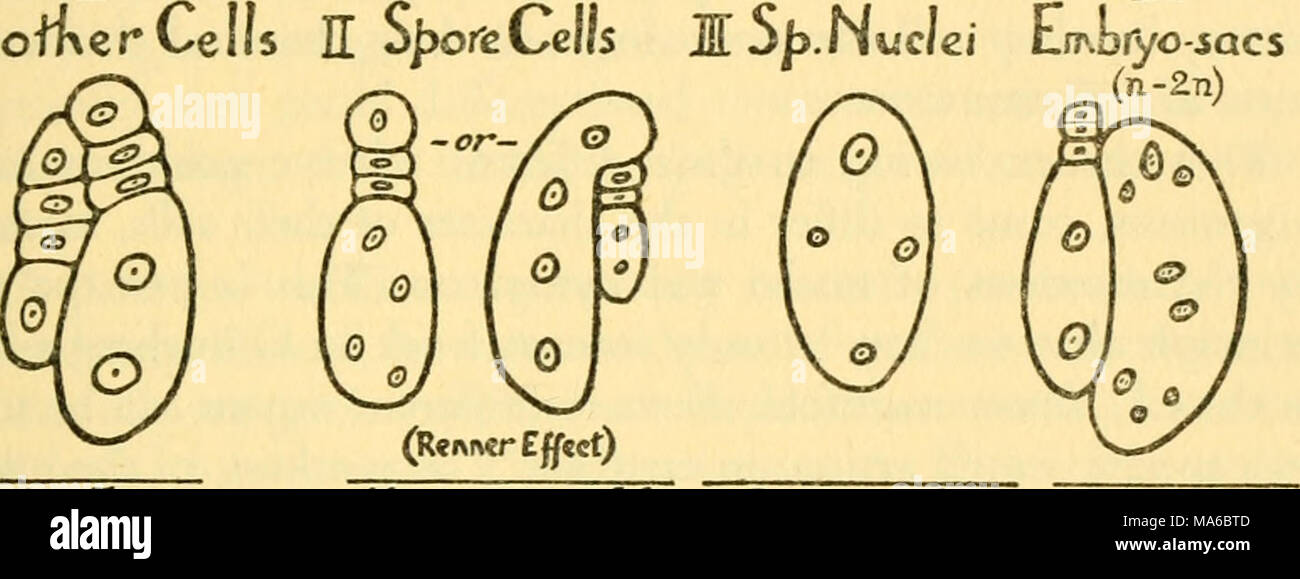 . The elements of genetics Stock Photo - Alamy