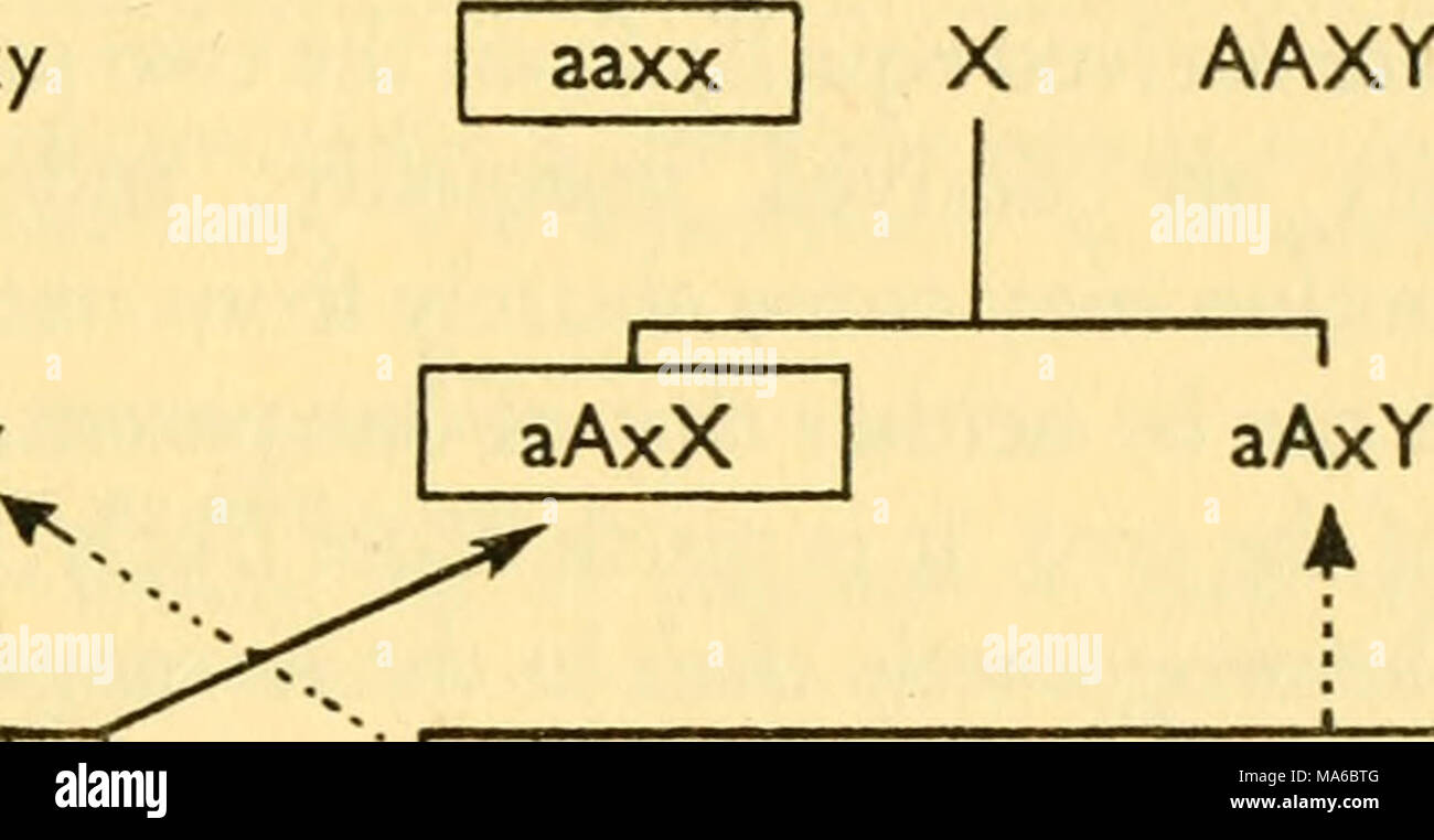 . The elements of genetics Stock Photo - Alamy