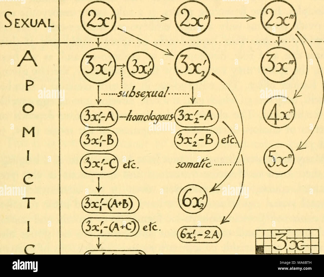 . The elements of genetics Stock Photo - Alamy
