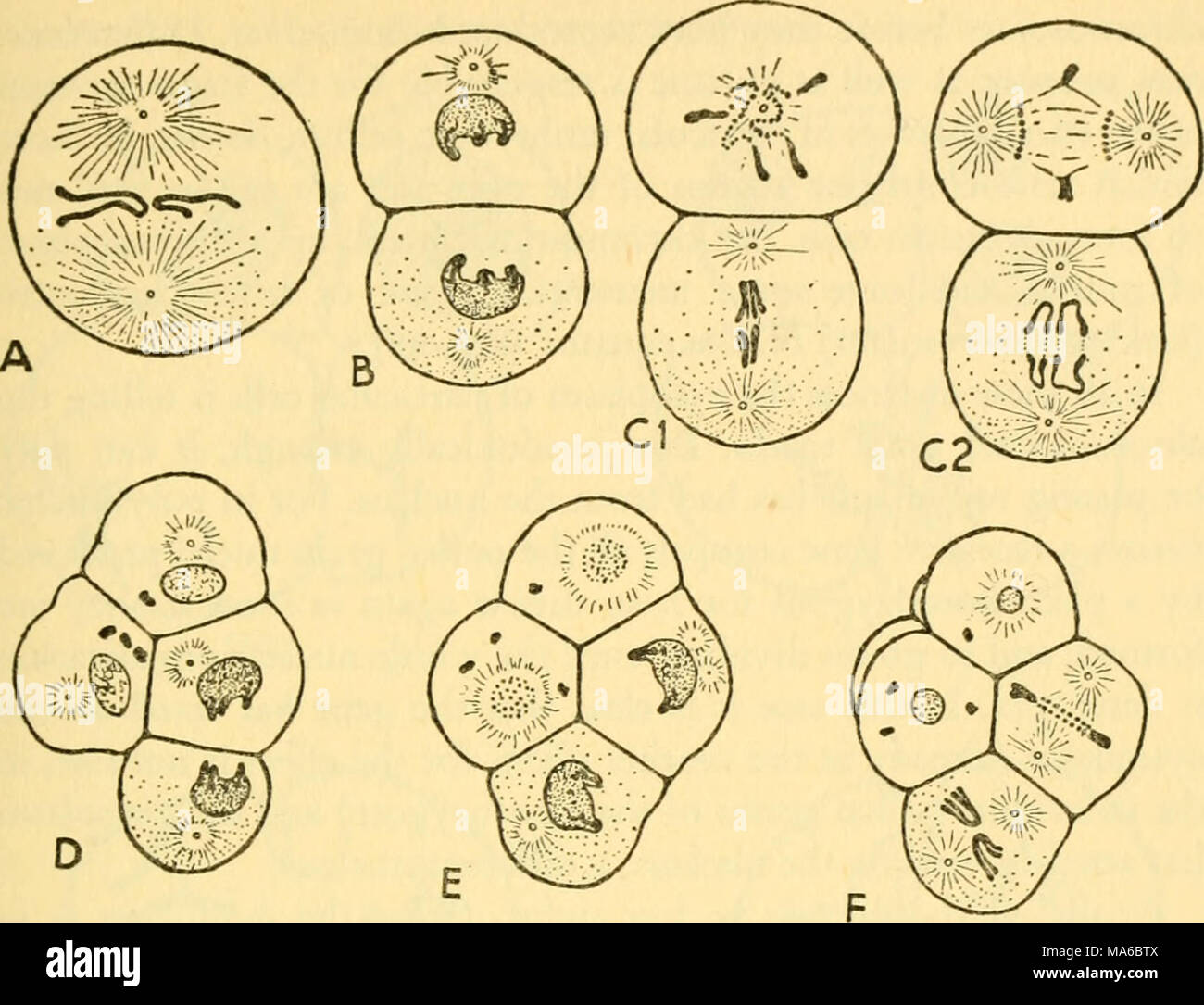 . The elements of genetics Stock Photo - Alamy
