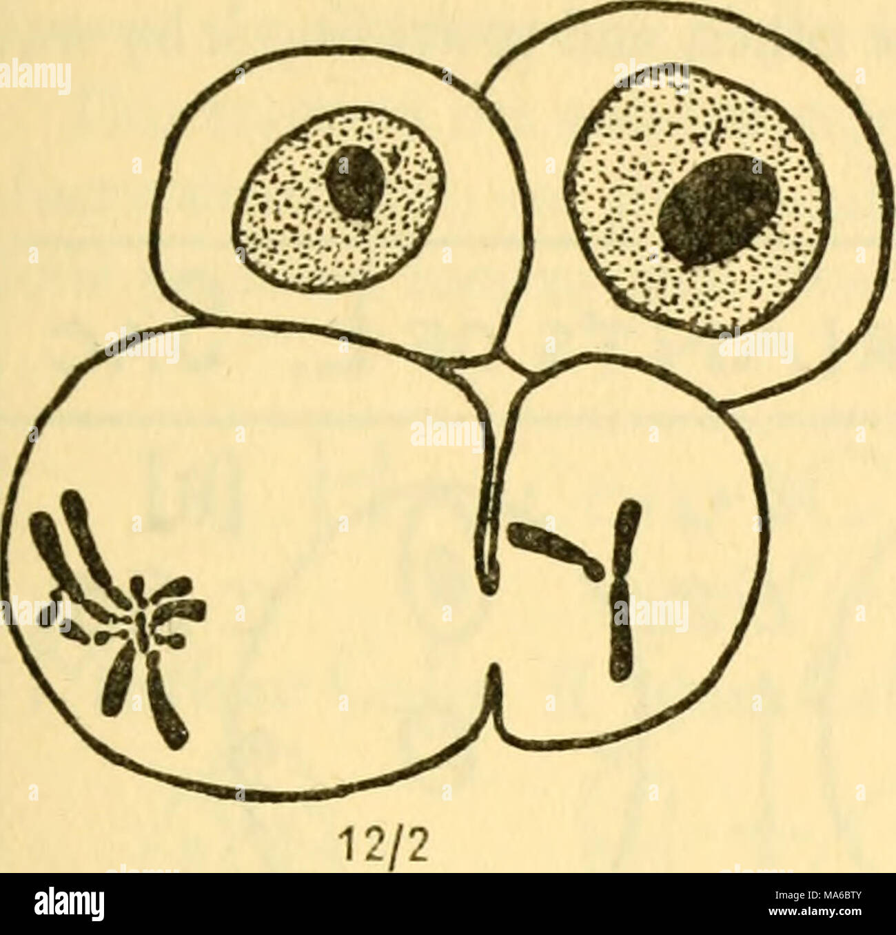 . The elements of genetics Stock Photo - Alamy