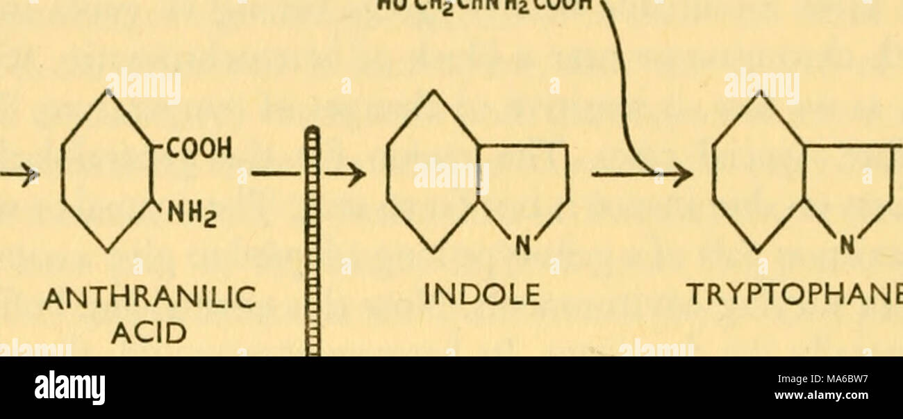 . The elements of genetics Stock Photo - Alamy