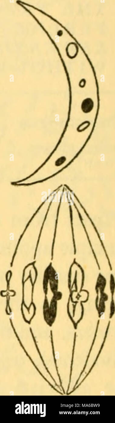 . The elements of genetics Stock Photo - Alamy