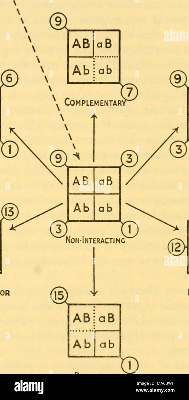 . The elements of genetics Stock Photo - Alamy